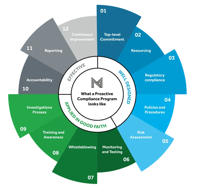What A Proactive Compliance Program Looks Like Insights McGrathNicol
