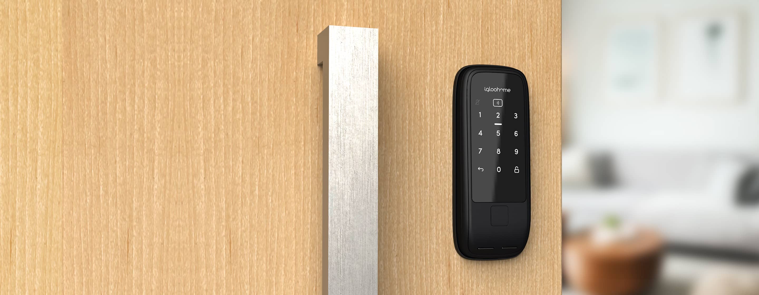Rim Lock: Smart Lock for Wooden Doors