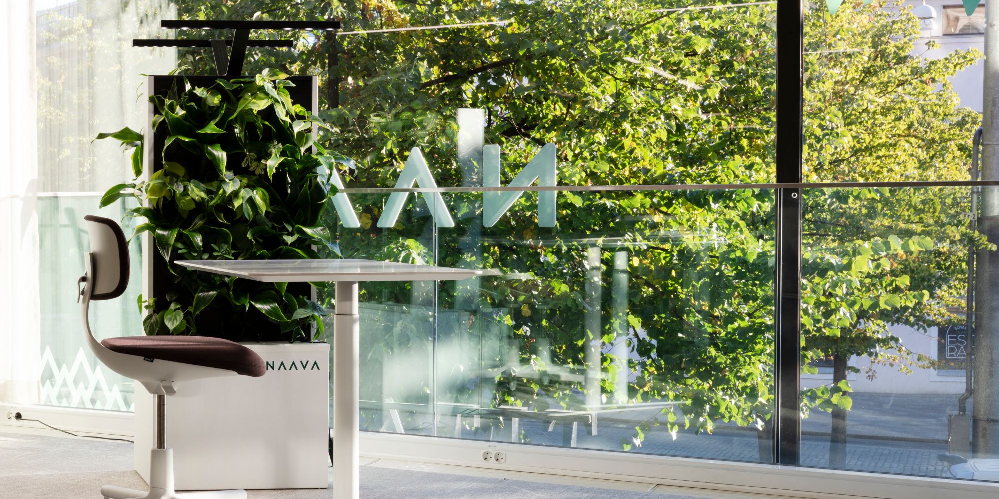 Living Green Walls for Natural Air Purification: A Q&A with Aki ...