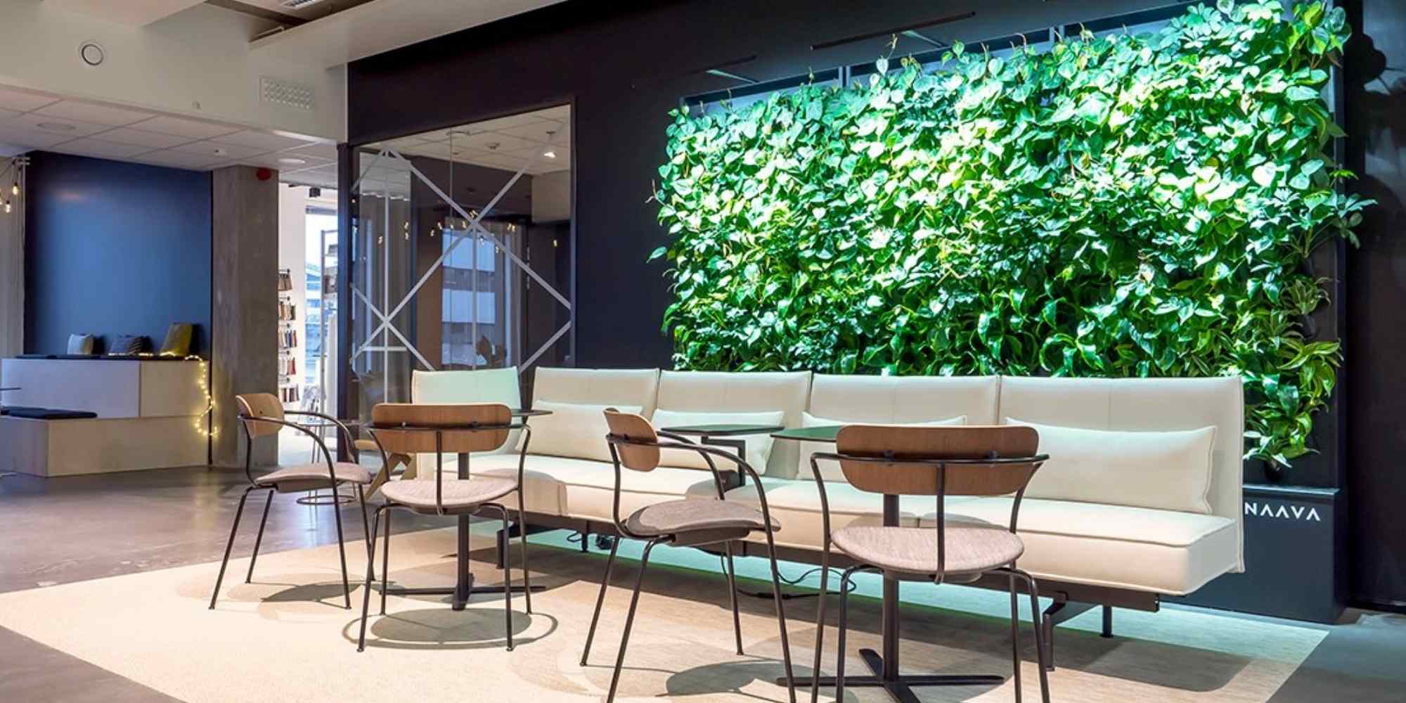 Green Walls: How You and Your Indoor Environment Benefit | Delos