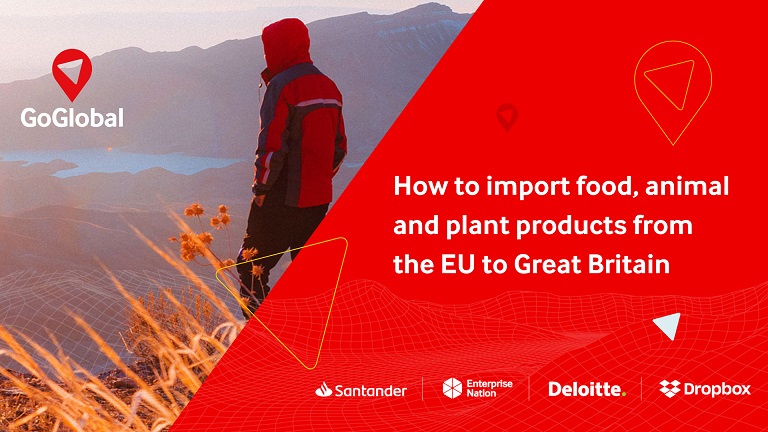 How to import goods from the EU to the UK | Enterprise Nation