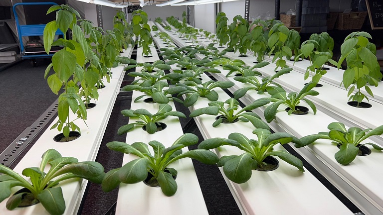 Red Planet Farms wins the Sustainable Start-Up Award | Enterprise Nation