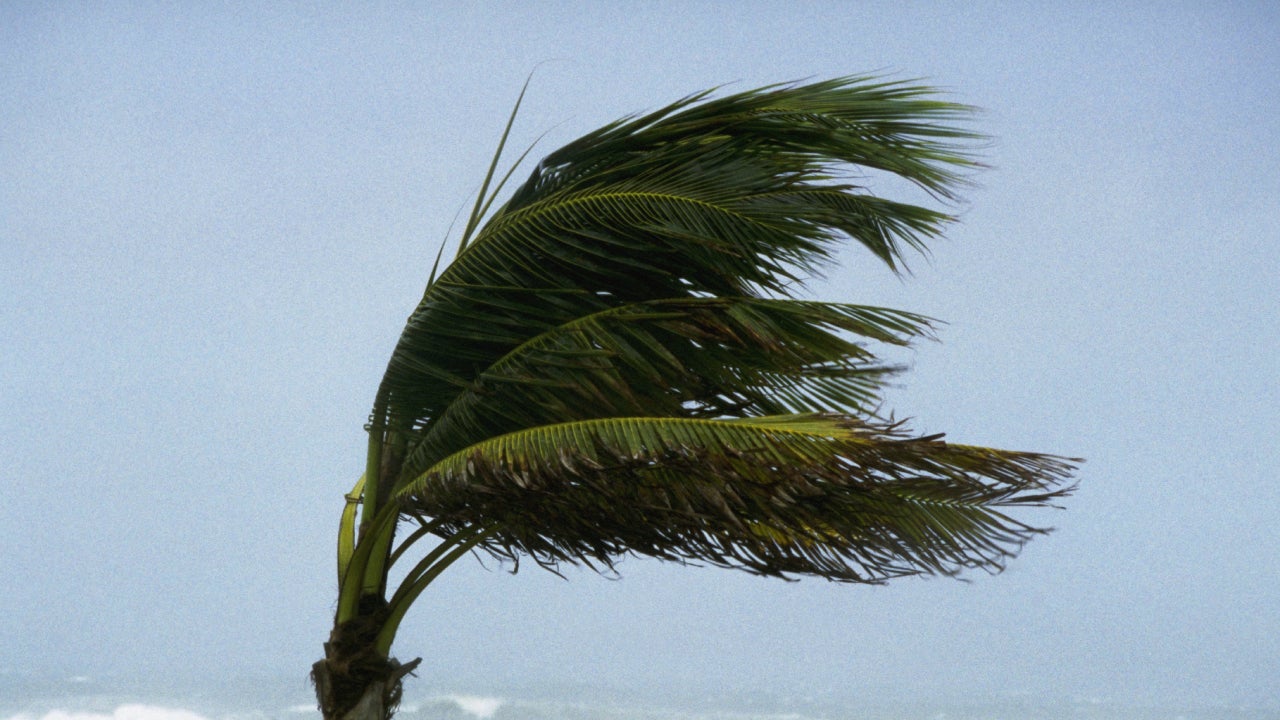 Windstorm Insurance: How It Works and Who Needs It | Bankrate