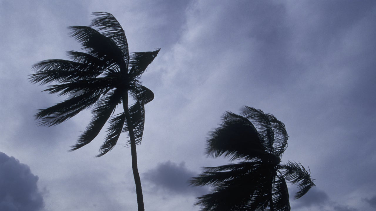 Wind Insurance in Florida: Costs and Considerations | Bankrate