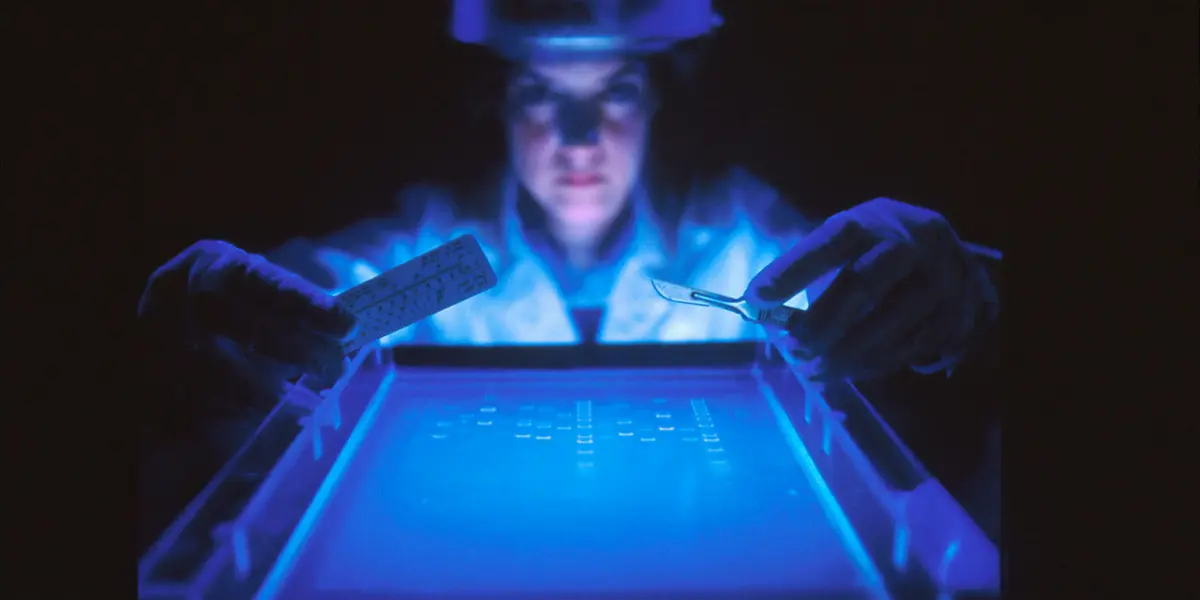 Inflammatory Markers: A Guide to Understand Your Blood Analysis