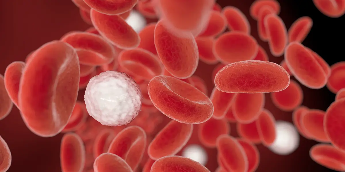 Low Monocytes: Normal Range & How to Increase