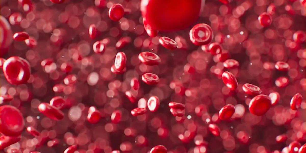High Monocytes Causes And Meaning Of Elevated Levels