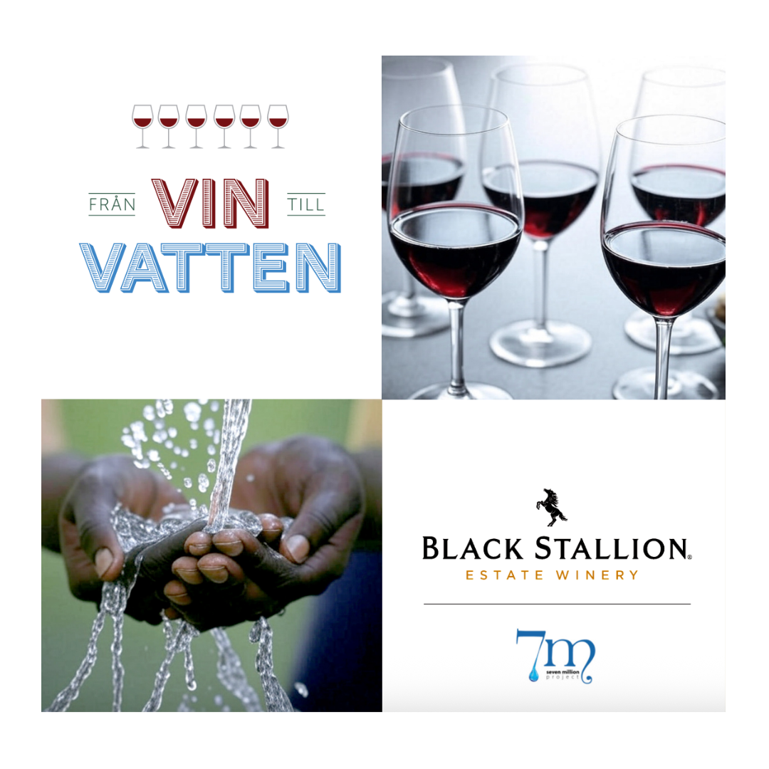 En vinprovning som gör skillnad — Ward Wines