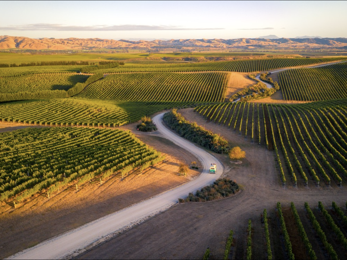 Yealands Sauvignon Blanc - utsökt vitt vin från Nya Zeeland — Ward Wines