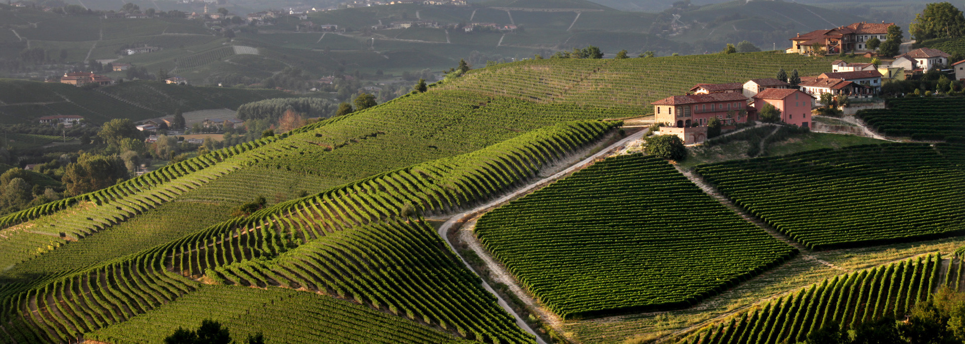 Prunotto vin - Nebbiolo viner från vinhuset Prunotto i Piemonte — Ward ...