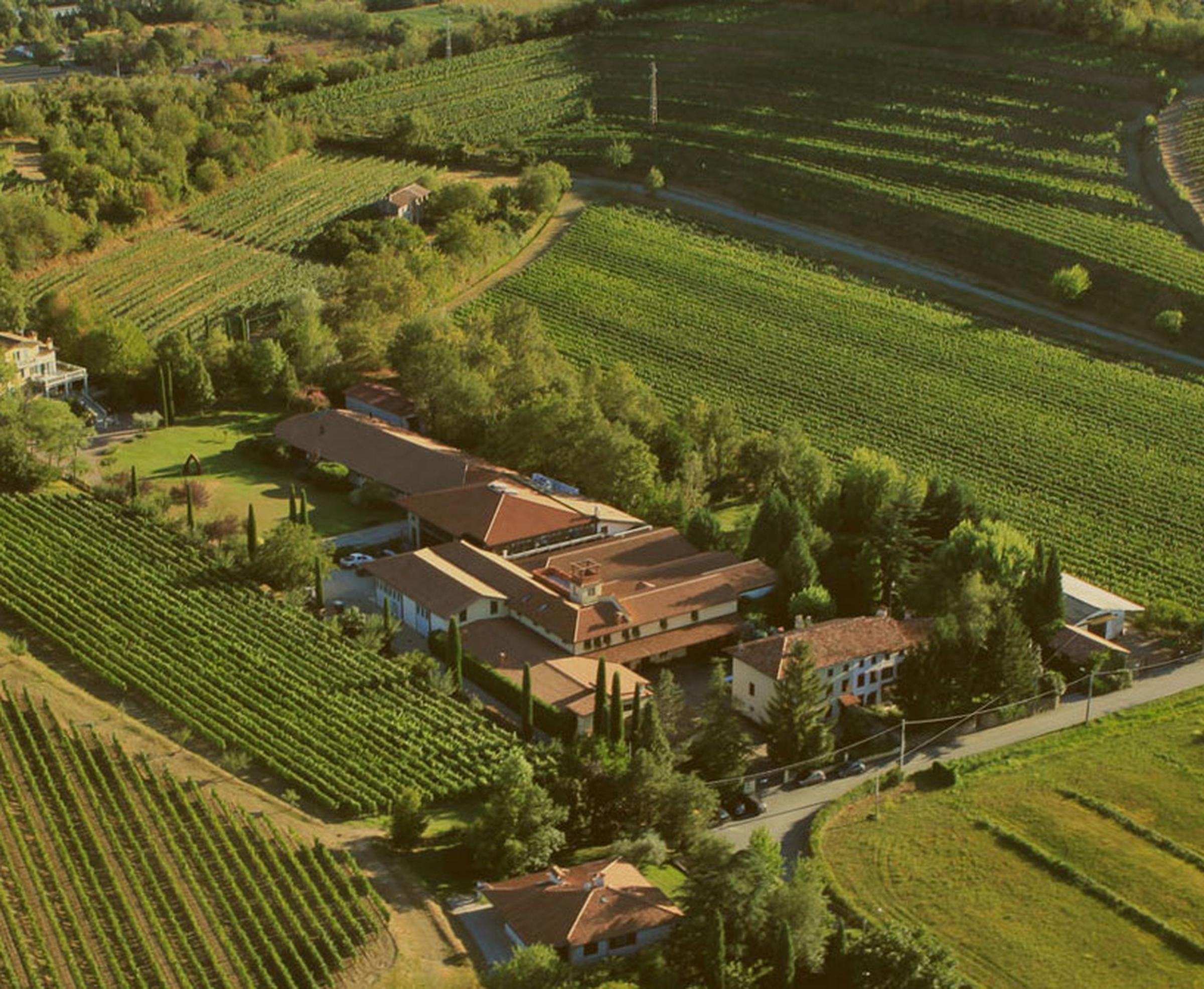 Familjeägda vinproducenter med kvalitet, ursprung & personlighet — Ward ...