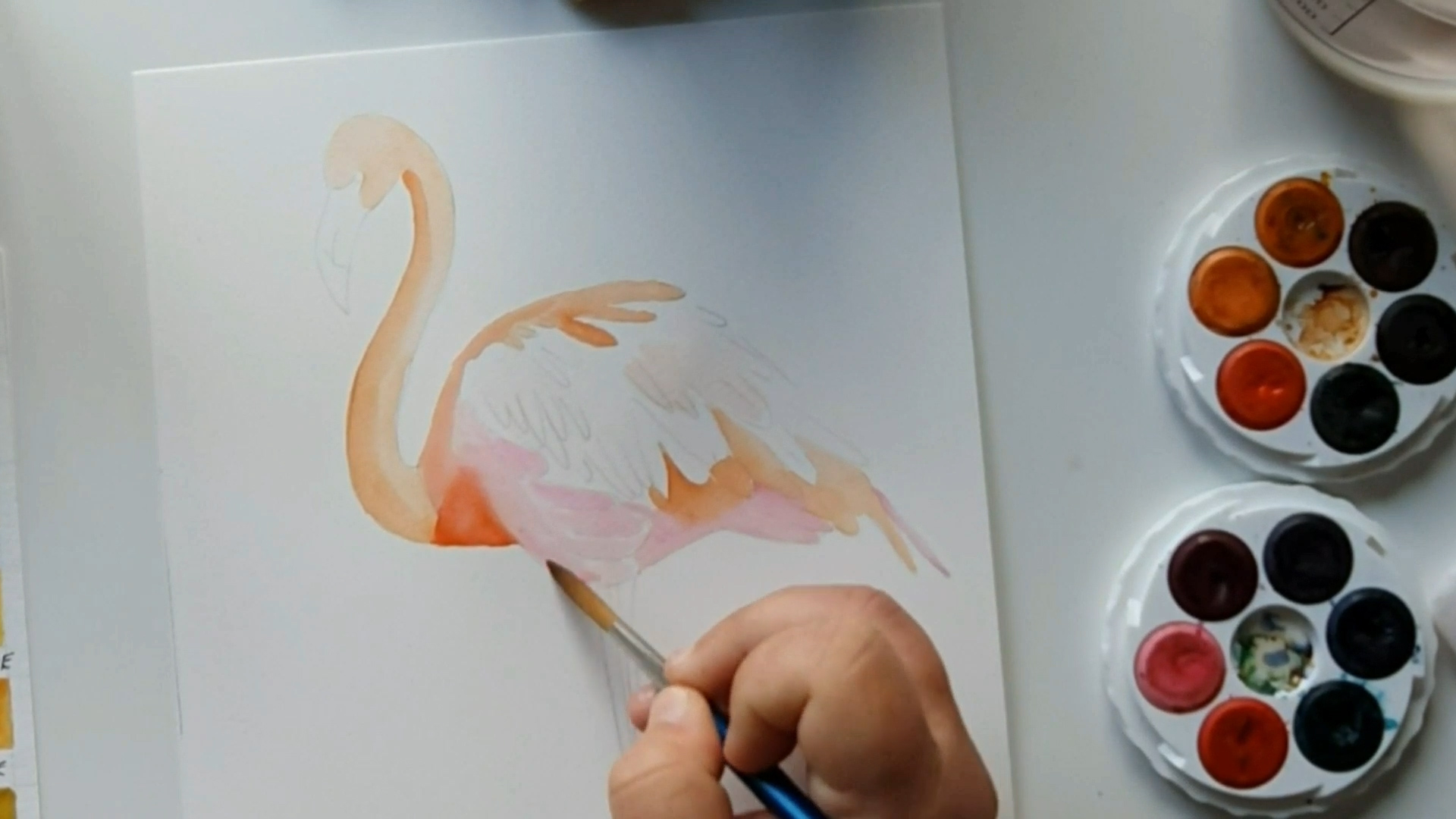 Flamingo Tutorial using Brilliant Watercolours by Dani Till