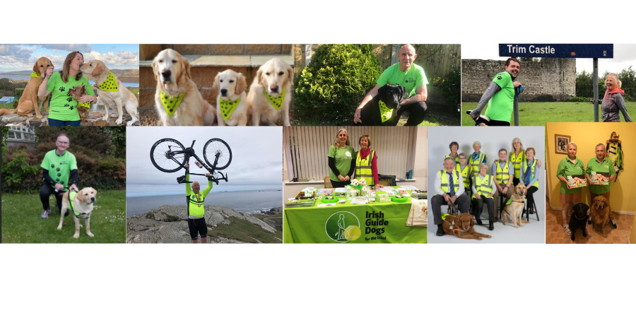 Irish Guide Dogs for the Blind | Join our community