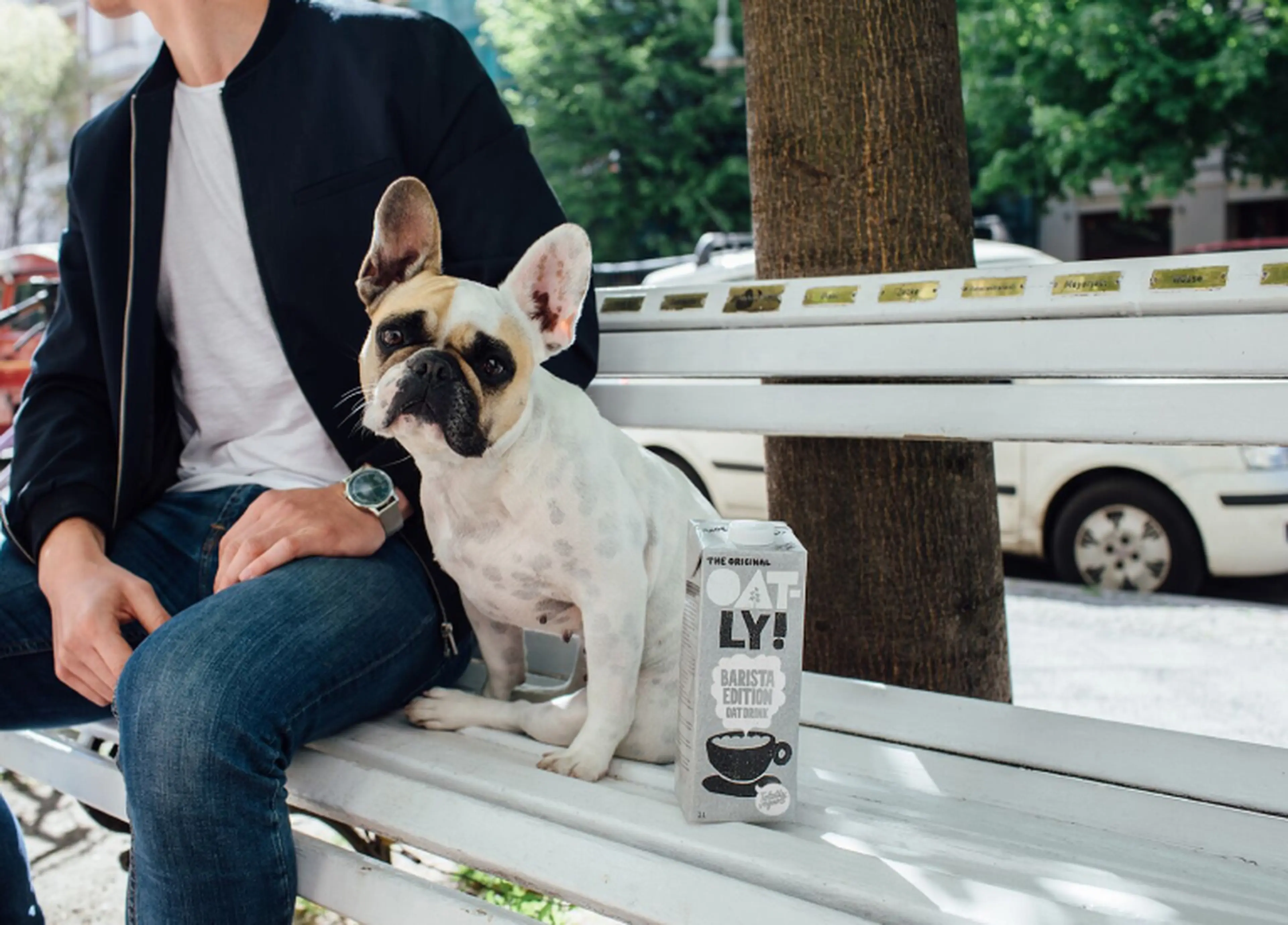 Oatly I the Original Oat Drink Company