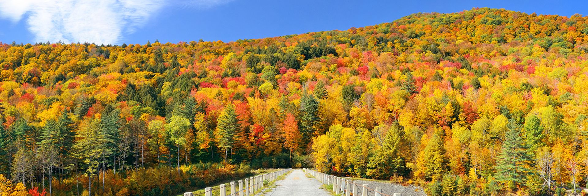 Where to Go in Autumn