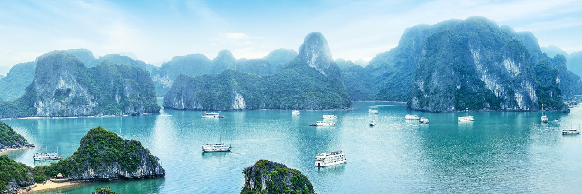 Vietnamese Discovery