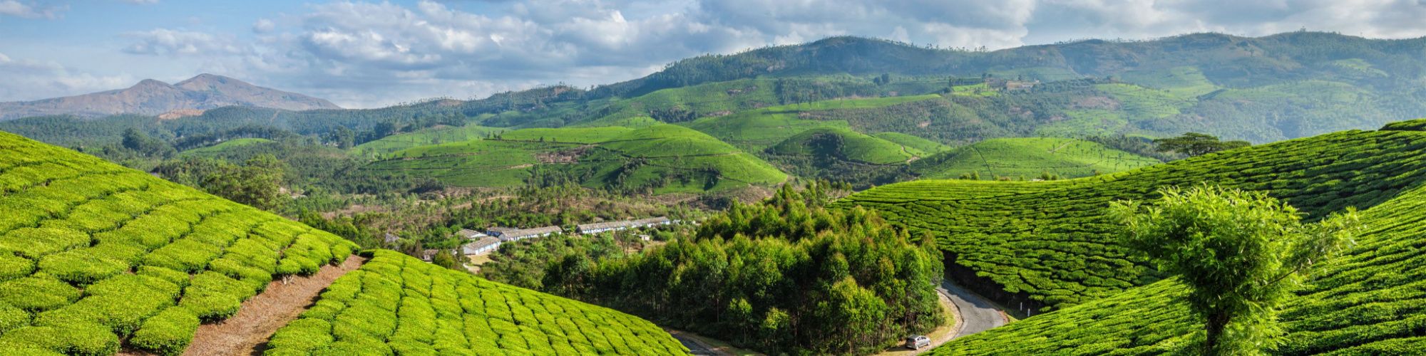 Holidays & Tours In India - Award-Winning Door-To-Door Service