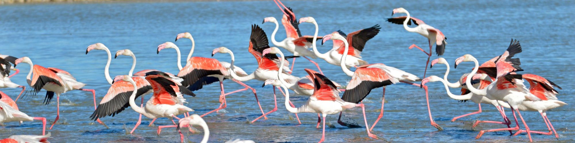 France Tours and Tour Holidays - Escorted Tours With Titan Travel