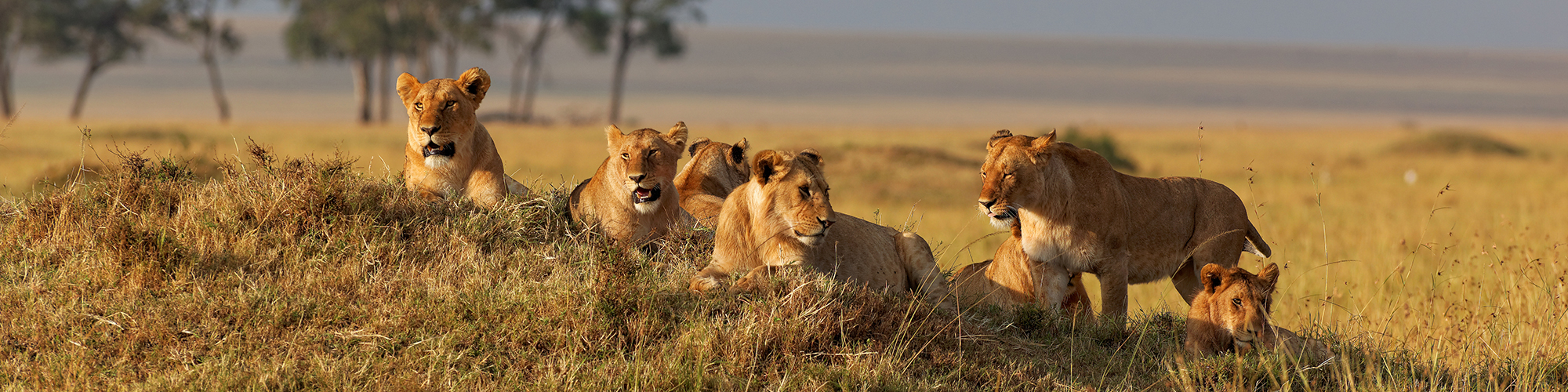 Africa Holidays & Escorted Tours - Africa Package Holidays