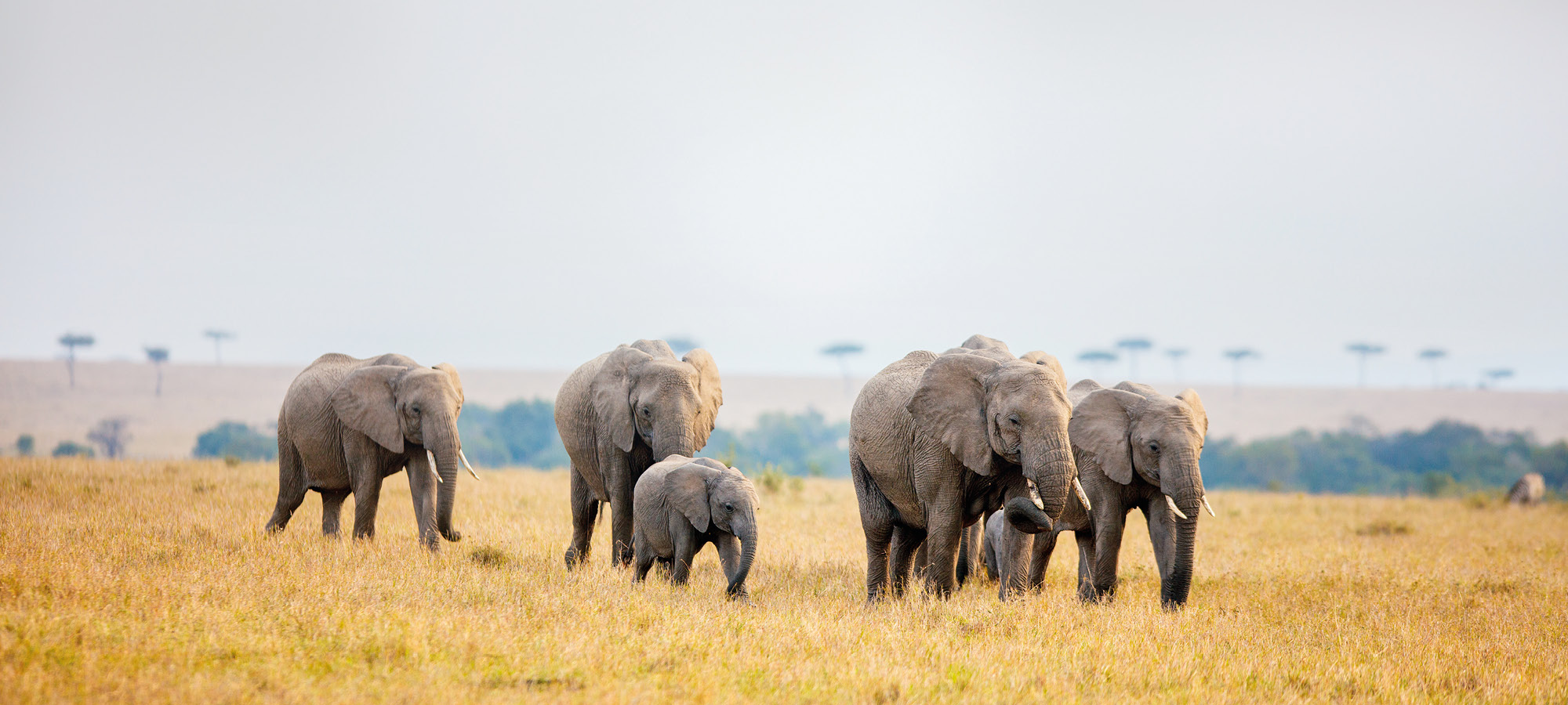 Why We Love These Amazing Small Group Tours