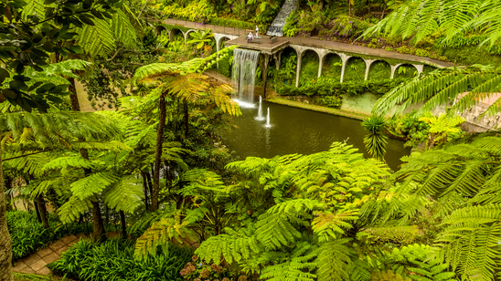 Tour | Madeira and Porto Santo Island Hopping | Titan Travel | TTMPS