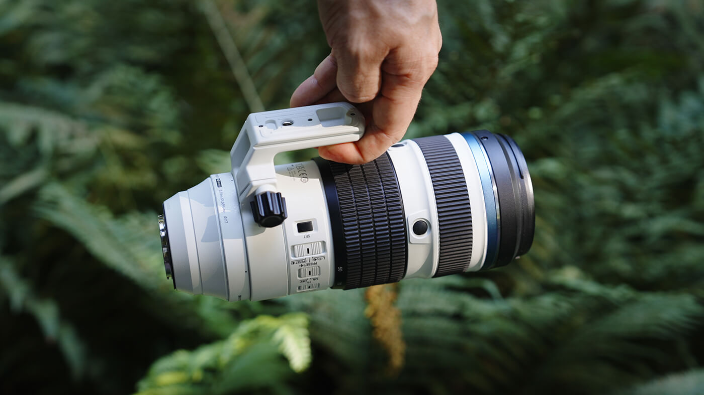 OM System M.Zuiko 50–200mm F2.8 IS PRO Test – Telezoom für Wildlife ...