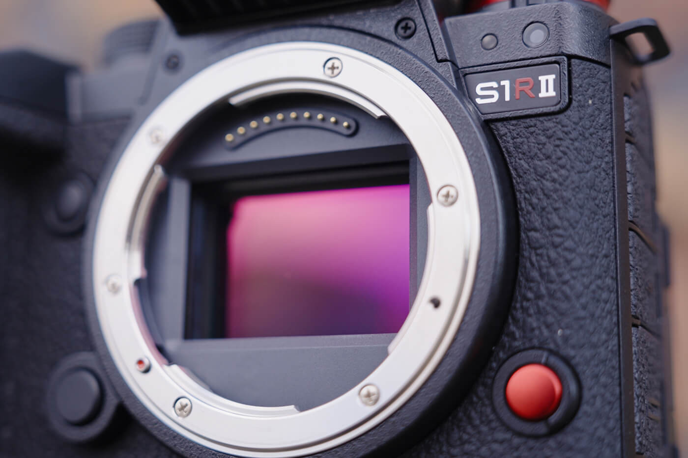 Panasonic Lumix S1R II - Testbericht