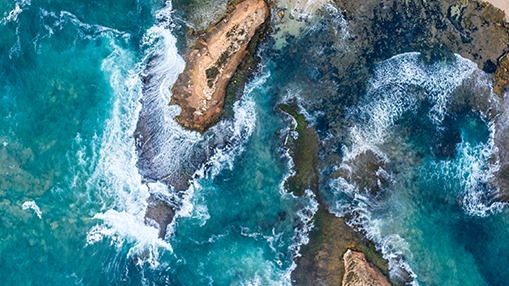 Findex announces expansion of leadership team to support growth plans