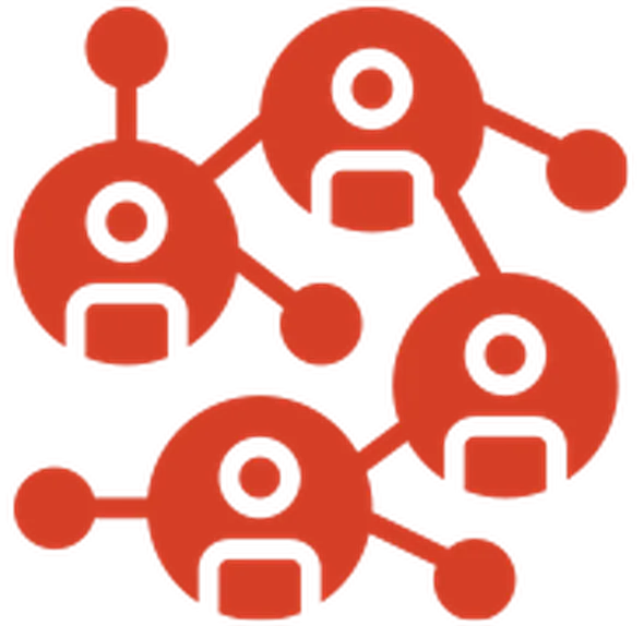 External Audit | Findex