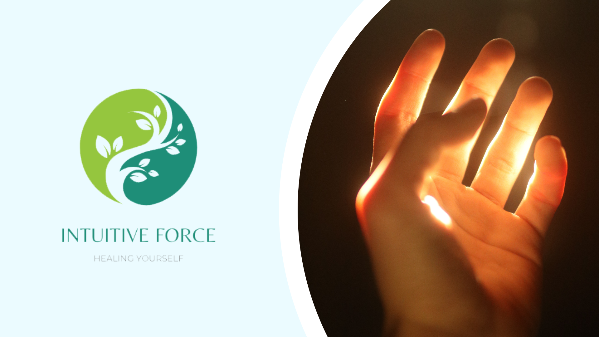 Customer Success Story - Intuitive Force | WebinarGeek