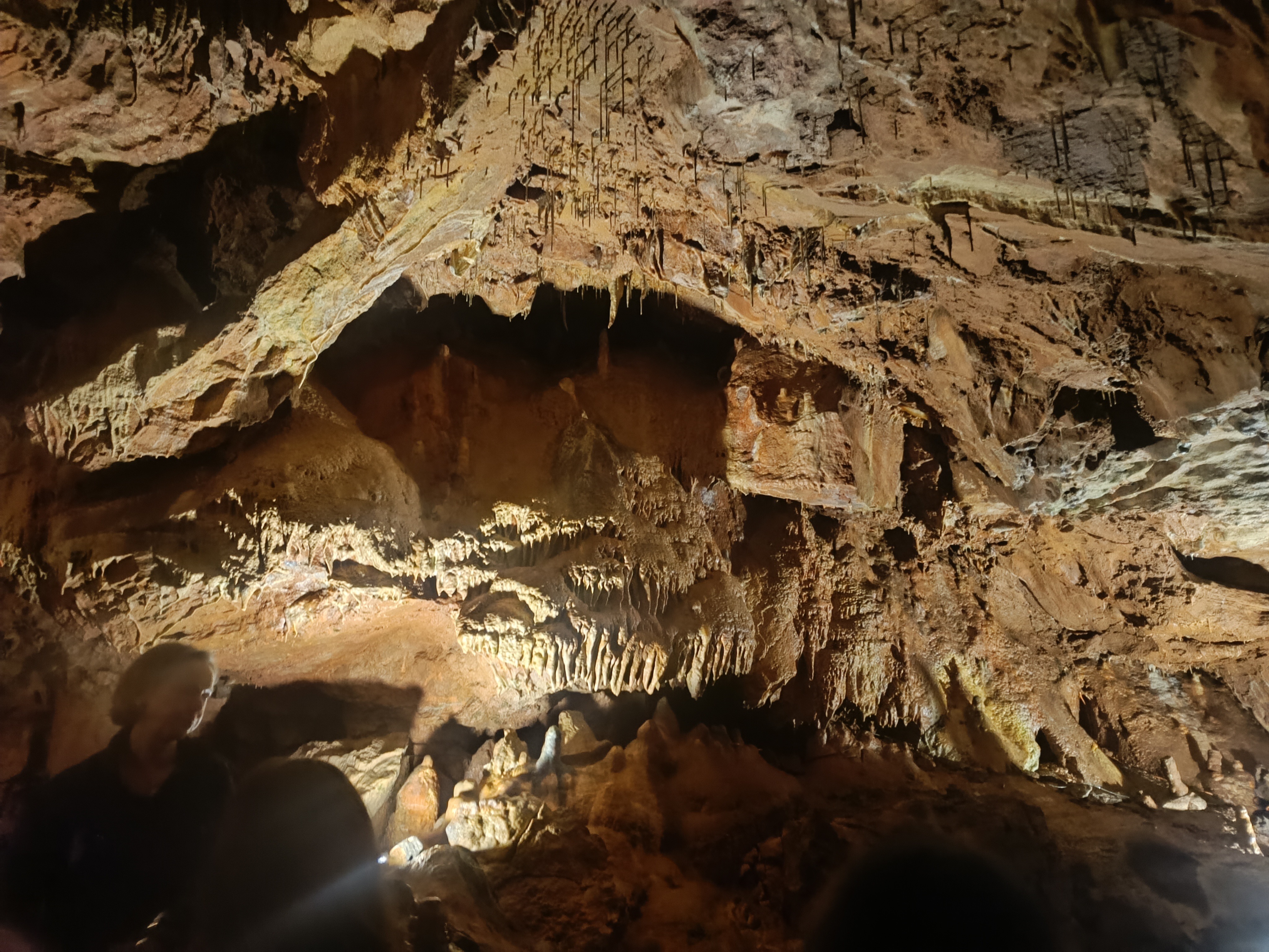 Mein EF Reise nach Torquay – eine unvergessliche Zeit an der English ...