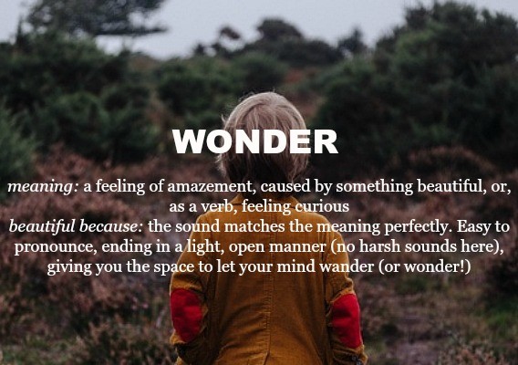 英文裡最美的12個單字 ‹ GO Blog | EF Blog Taiwan