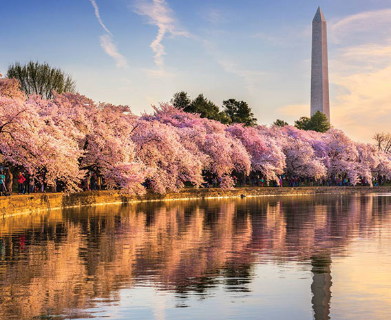 6 magical spring destinations for your travel bucket list ‹ EF GO Blog ...