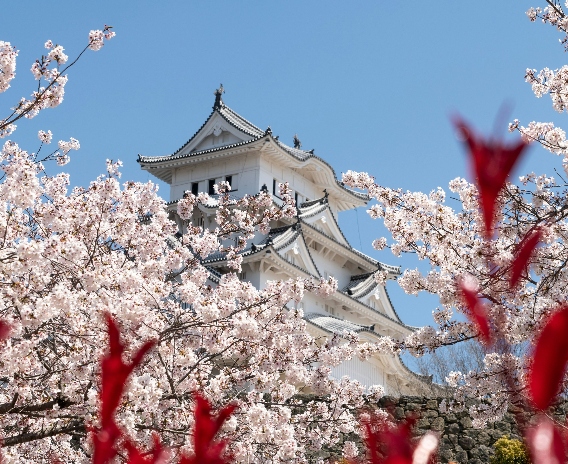 5 cosas que hacer en Tokio sin mucho dinero ‹ GO Blog | EF Blog Chile