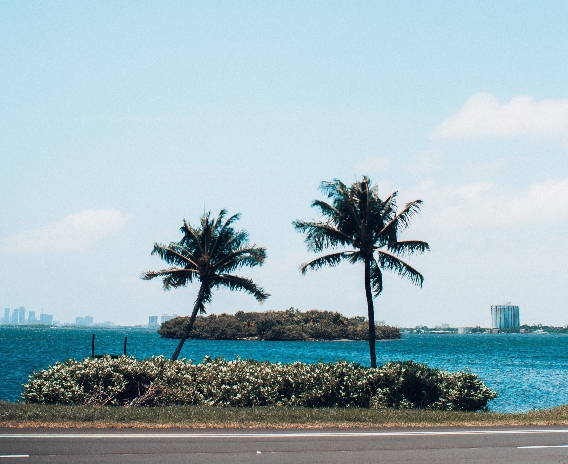 10 hidden gems in Miami ‹ EF GO Blog | EF Global Site (English)