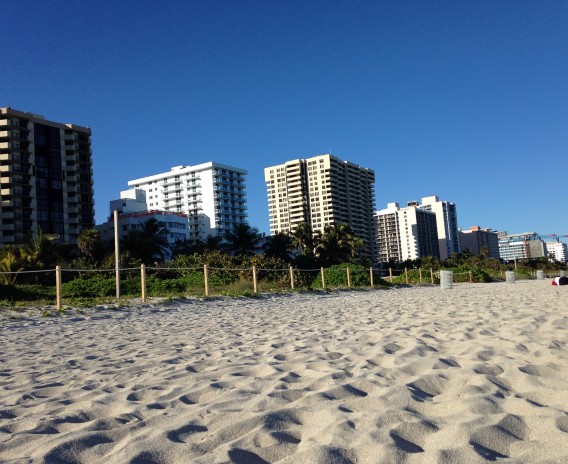 EF Stories: Ramon from the Netherlands at EF Miami ‹ GO Blog | EF ...