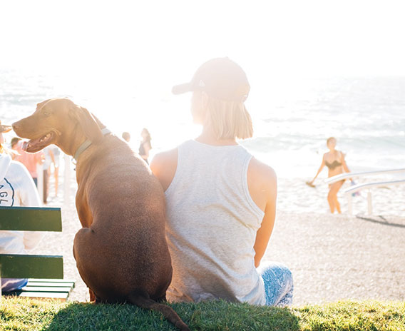 How to live like a local in Sydney ‹ EF GO Blog | EF Global Site (English)