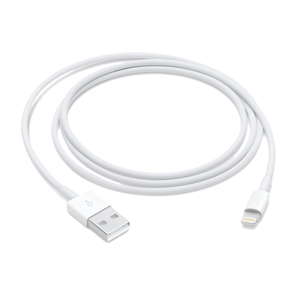 Apple Lightning to USB Cable 1m