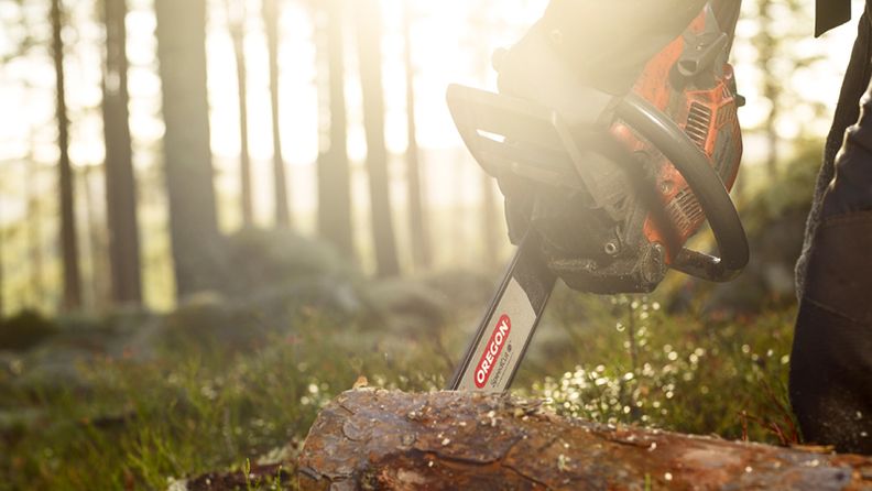 Snygg skog om man hugger manuellt