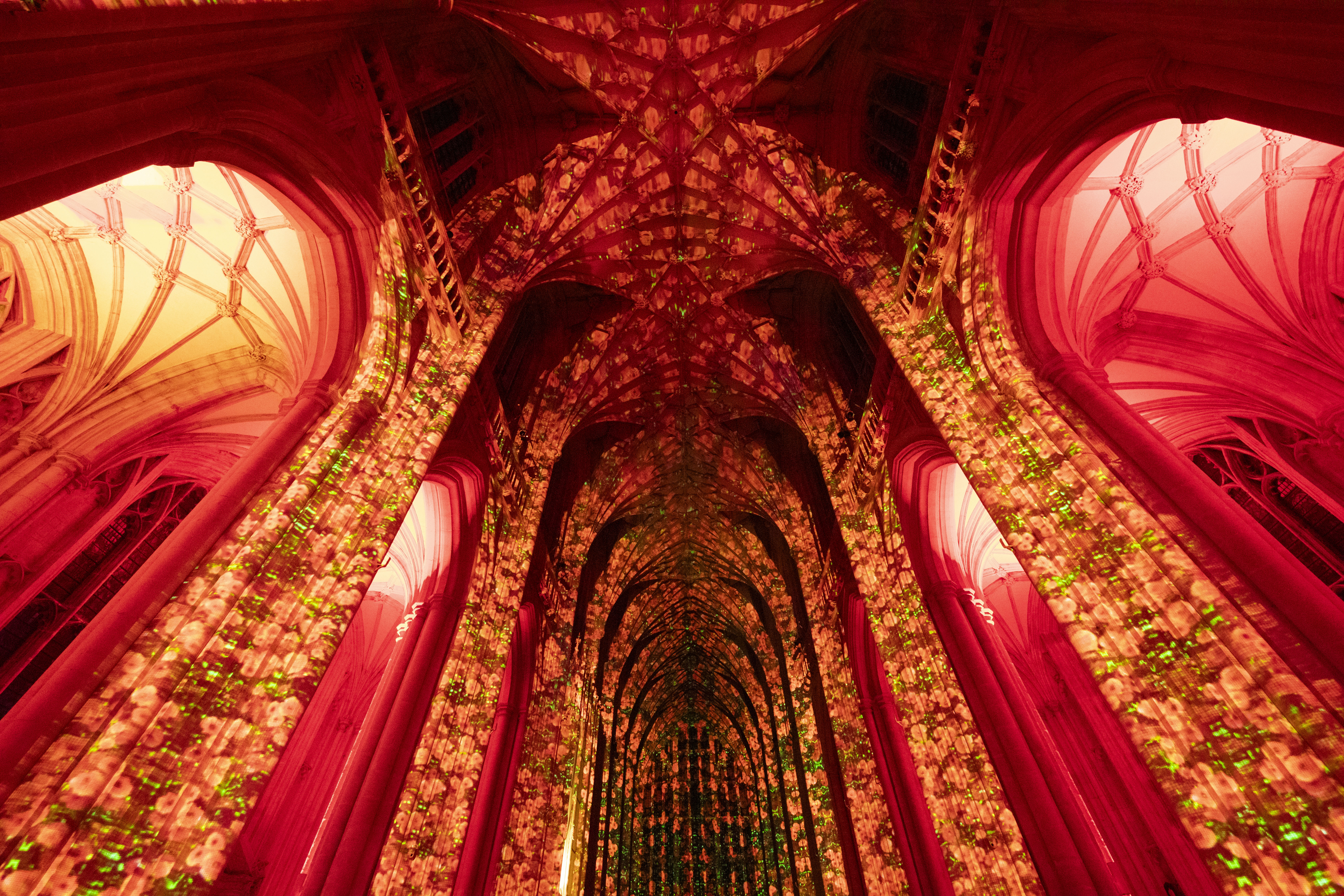 Poppy Fields by Luxmuralis - tickets on sale | Gloucester Cathedral