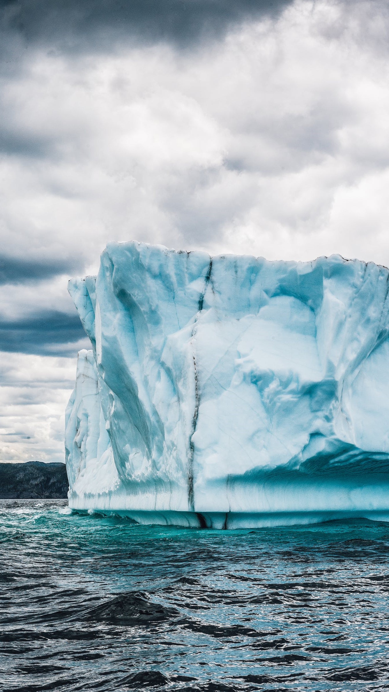 Cilimate change from A to Z | Davines Group