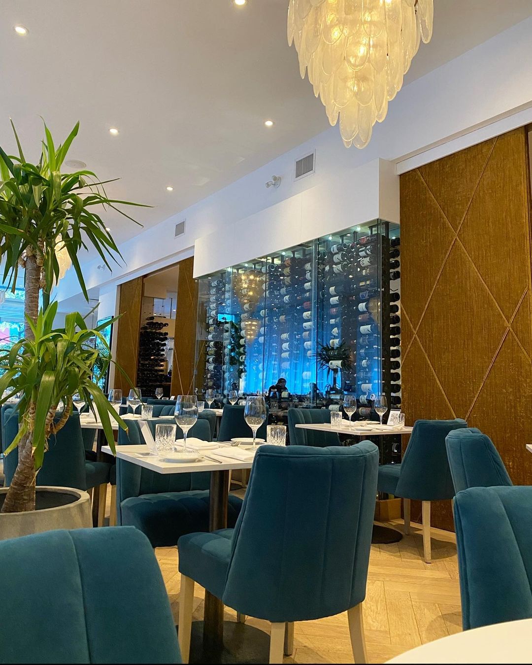 Carisma Toronto | Reservations, Info & Next Events | Nox