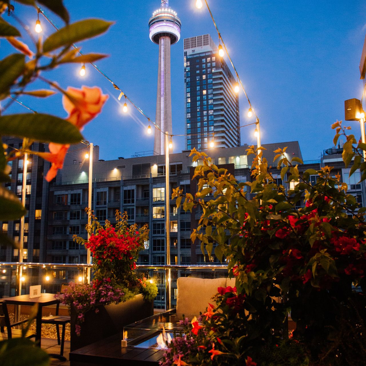 Victor Rooftop Toronto | Reservas, Info & Próximos Eventos | Nox