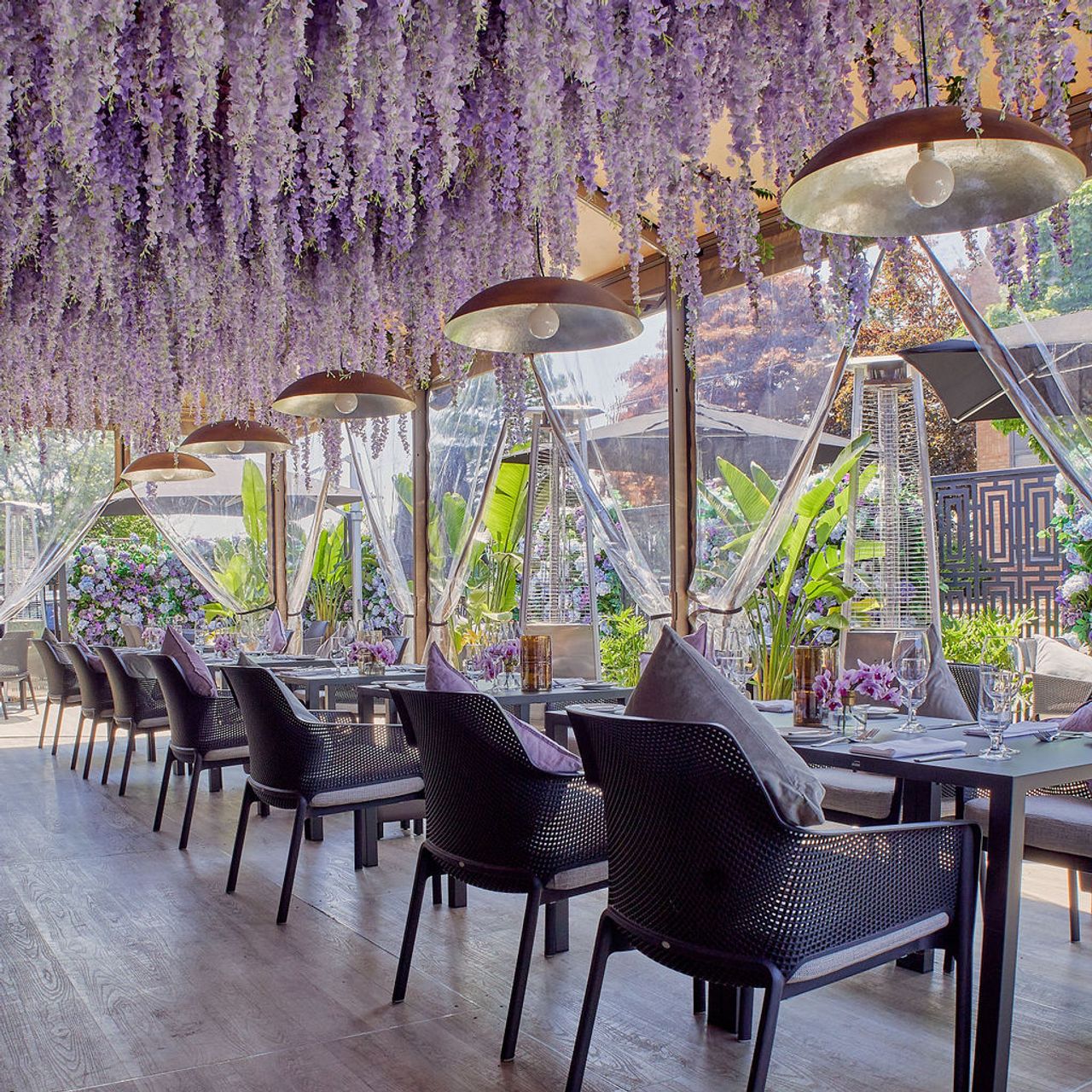 Via Allegro Ristorante Toronto | Reservations, Info & Next Events | Nox