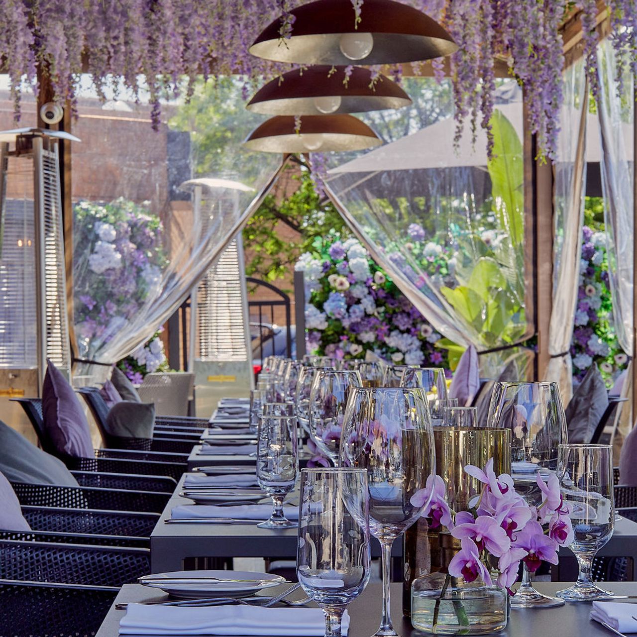 Via Allegro Ristorante Toronto | Reservations, Info & Next Events | Nox