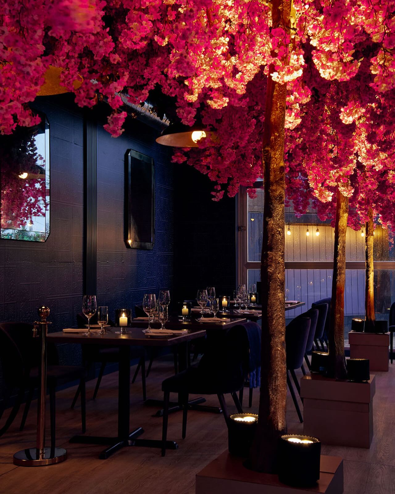 Via Allegro Ristorante Toronto | Reservations, Info & Next Events | Nox