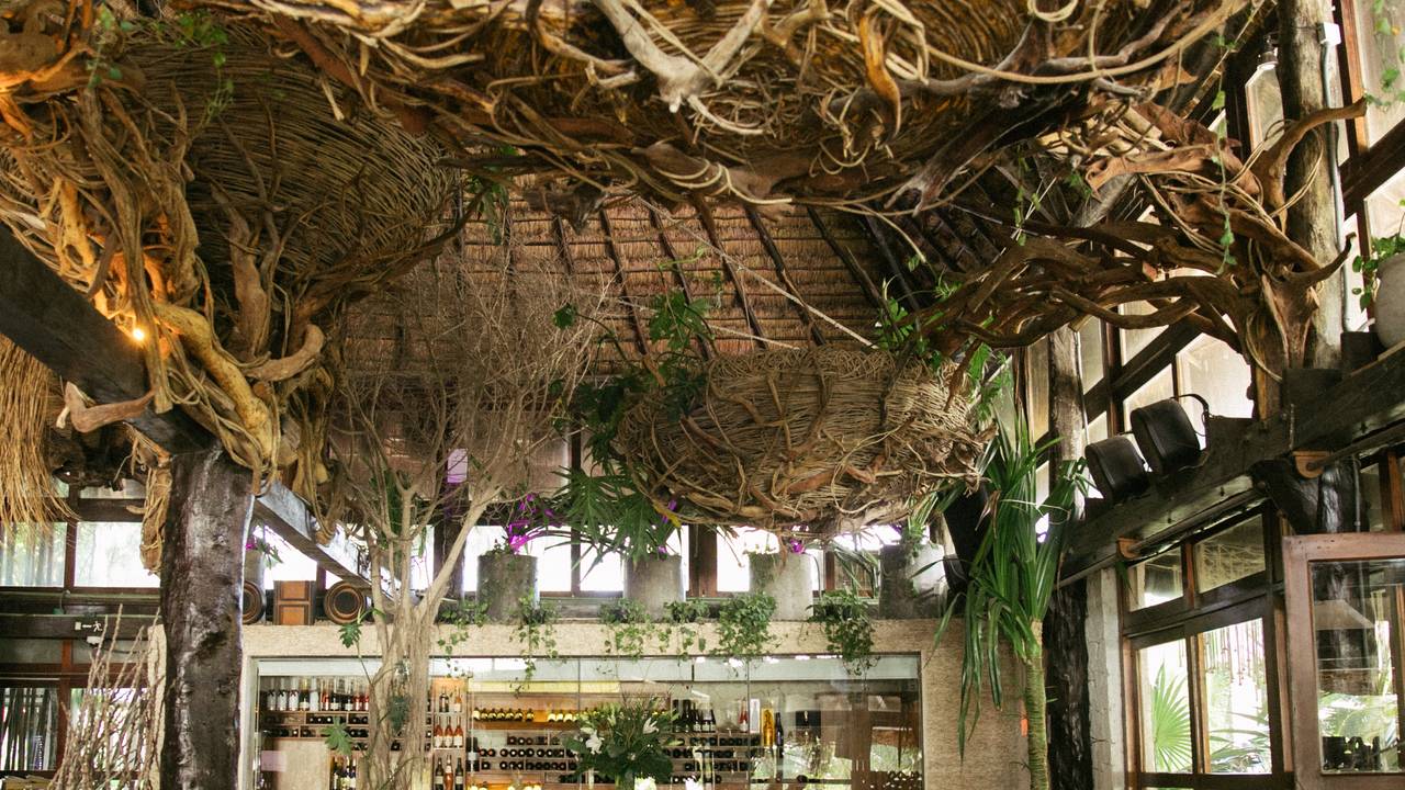 Mia Tulum | Reservations, Info & Next Events | Nox