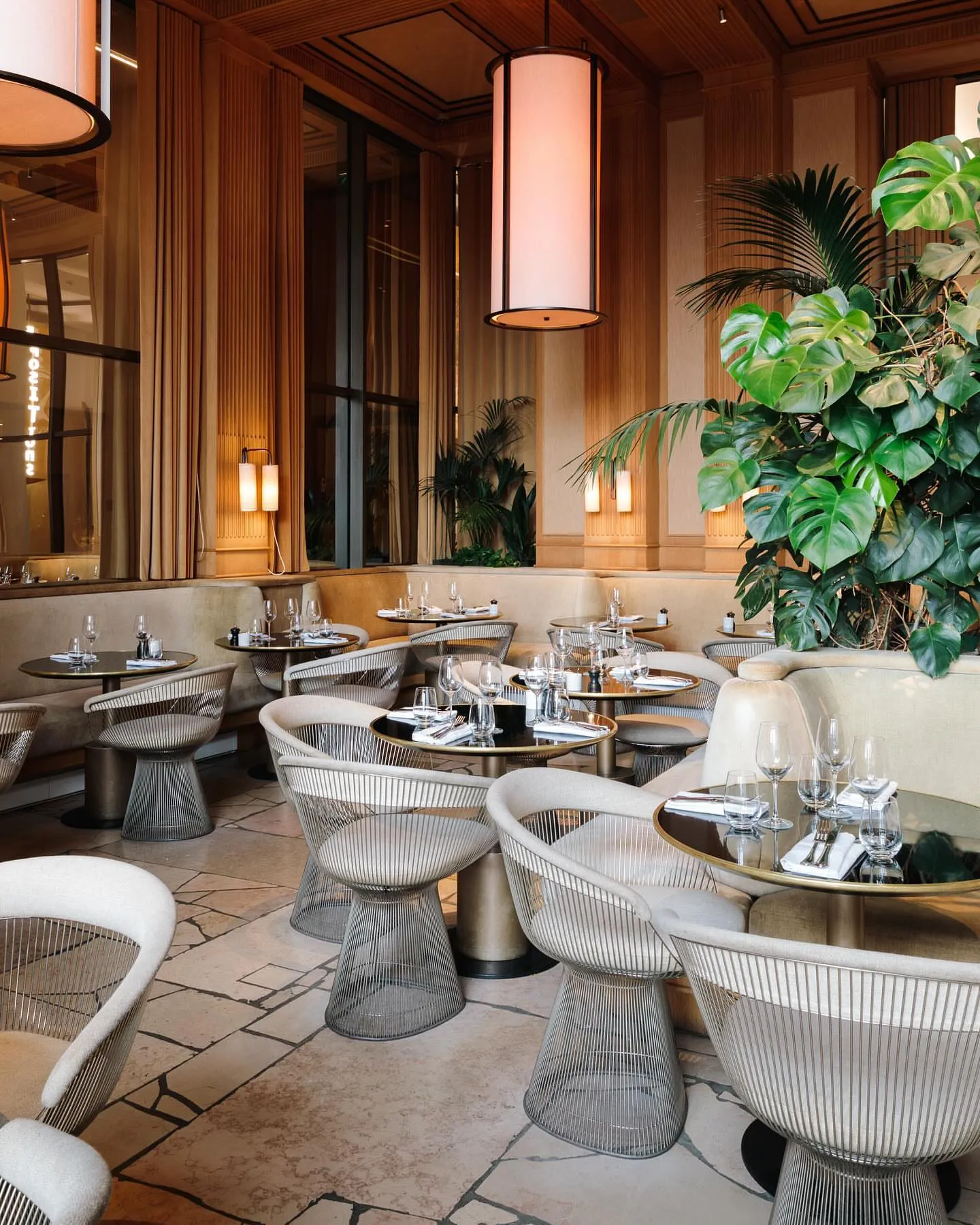 Girafe Paris | Réservations, Infos & Prochains Événements | Nox