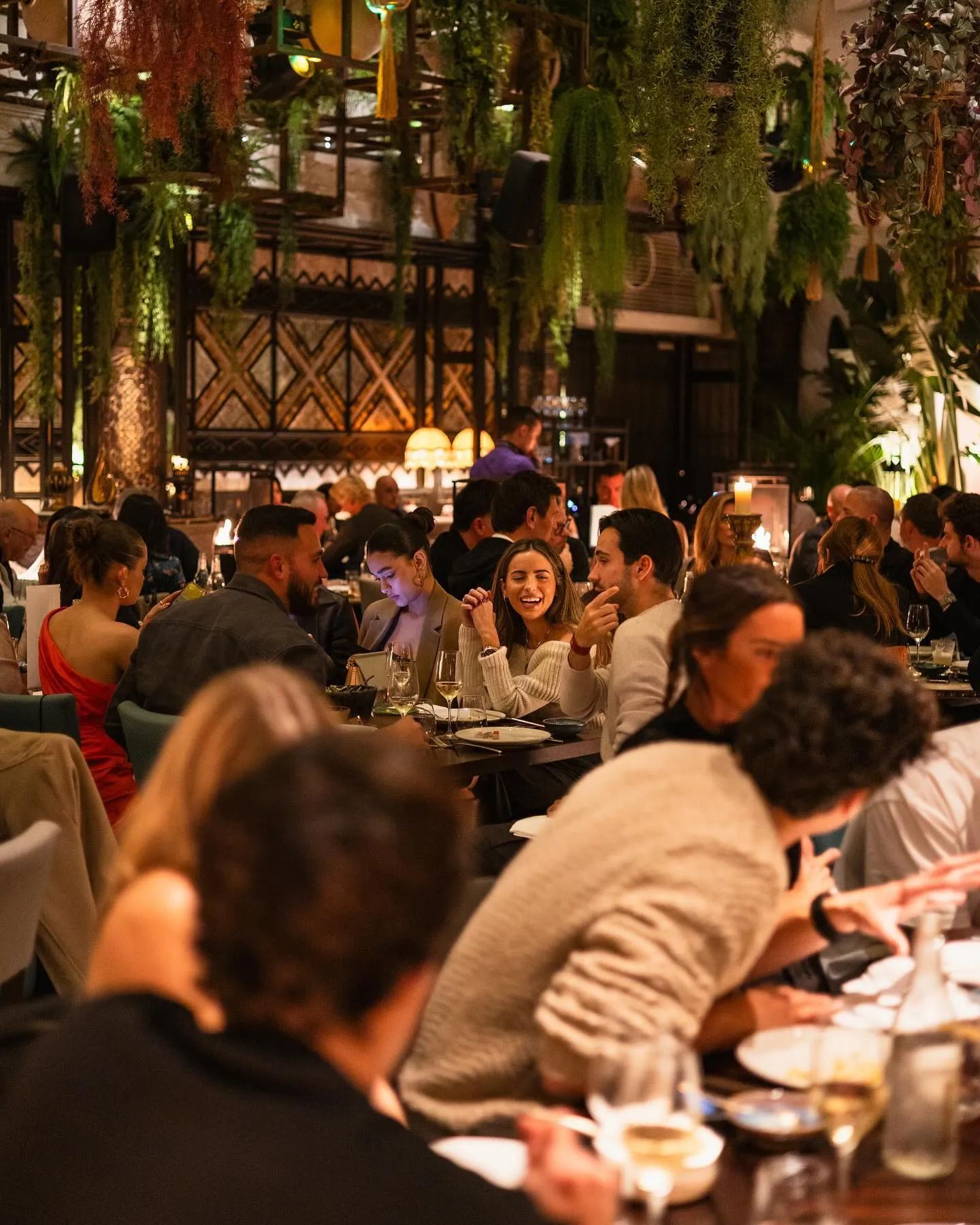 COYA Marbella | Reservations, Info & Next Events | Nox