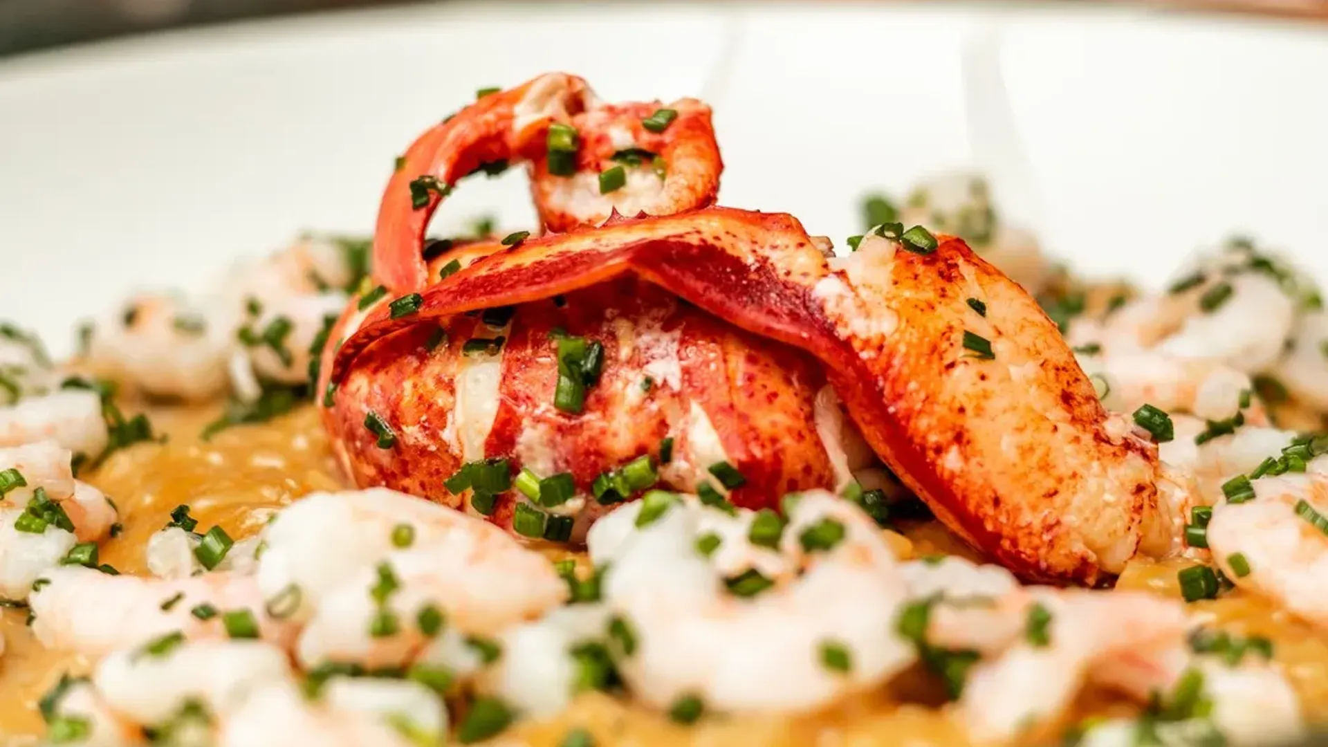 Bivouac Montreal | Booking, Info & Next Events